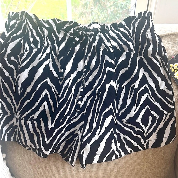 Classic Concepts | Shorts | Zebra Print Womens Shortsnew | Poshmark